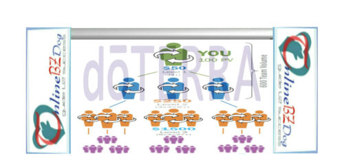 Is doTERRA A Pyramid Scheme - doTERRA Review