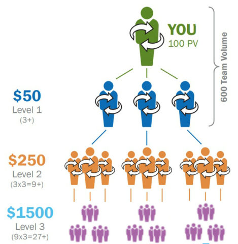 Is doTERRA A Pyramid Scheme - doTERRA Review