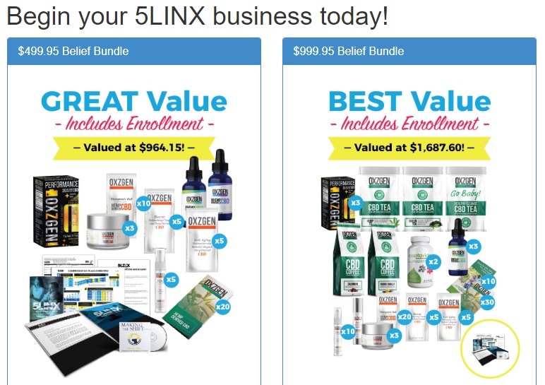 5LINX Review - Is 5LINX A Pyramid Scheme & A Scam