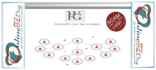 Is World Financial Group A Scam? World Financial Group Review